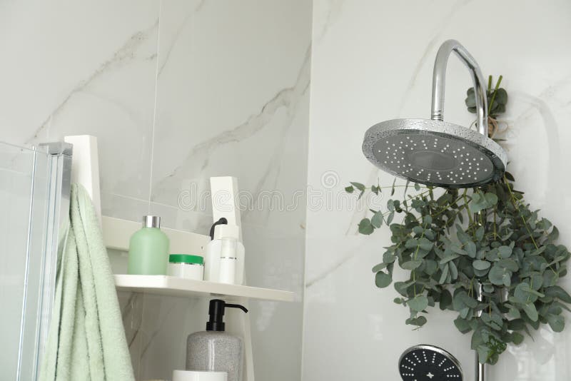 Branches with Green Eucalyptus Leaves in Shower Stock Photo - Image of ... Branches with Green Eucalyptus Leaves in Shower Stock Photo - Image of ...