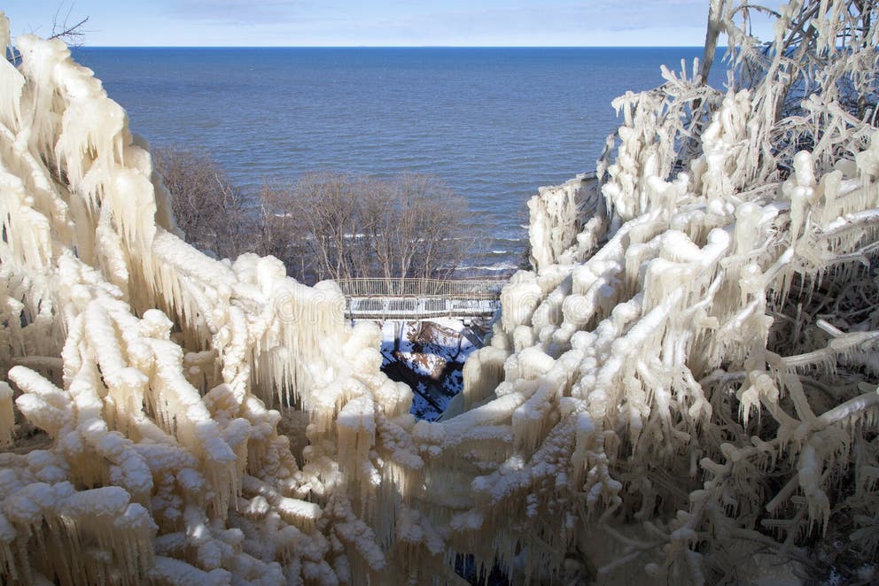 Branches in the ice stock photo. Image of season, plant - 85556174