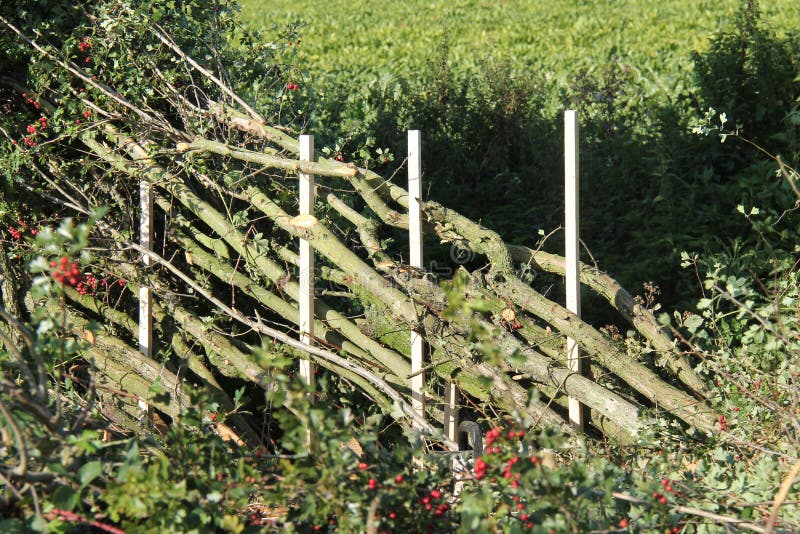 Laying Plashing Stock Photos - Free & Royalty-Free Stock Photos from ...