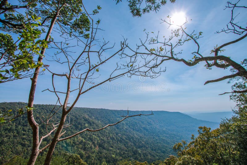 The Branches of a Large Tree and the Mountain Behind Stock Photo ...