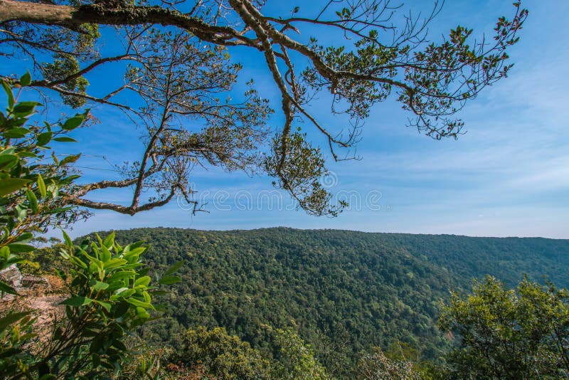 The Branches of a Large Tree and the Mountain Behind Stock Photo ...