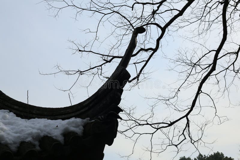 Branches of Leafless Trees Near a Building Under the Clouds Stock Image ...