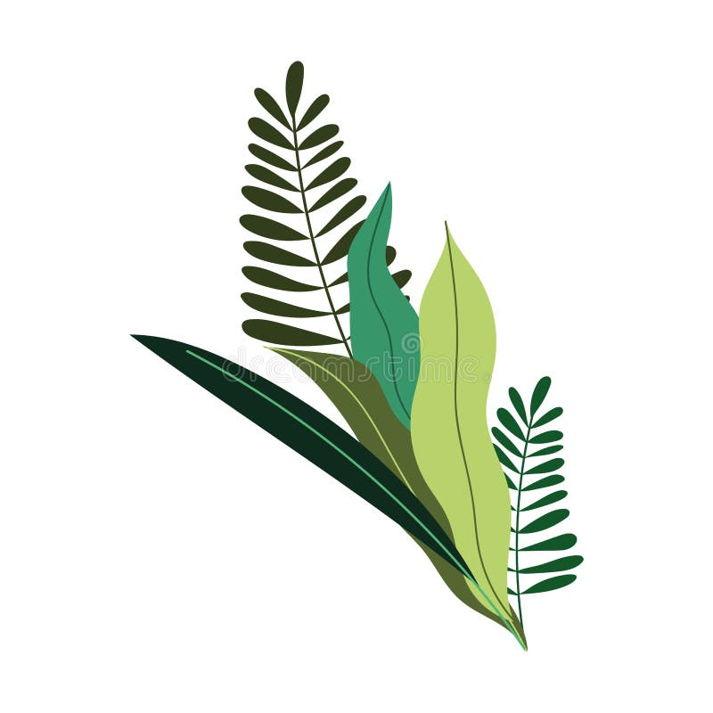 Branches Leaves Foliage Nature Botanical Isolated Icon Design Stock ...