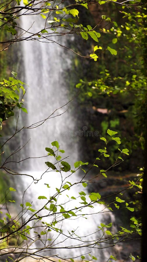 The Branches of the Waterfall Flowing from the Mountain and among the ...