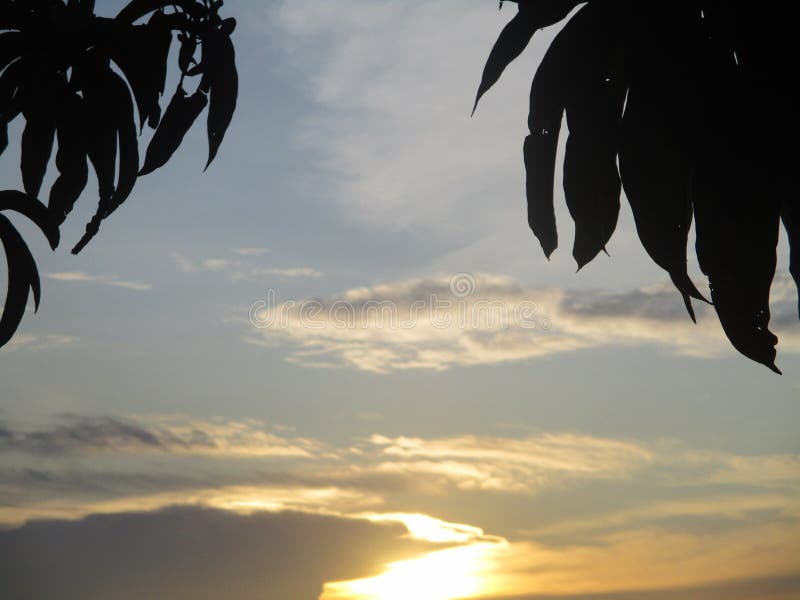 The Atmosphere of the Afternoon Sun in the Rice Fields Stock Image ...