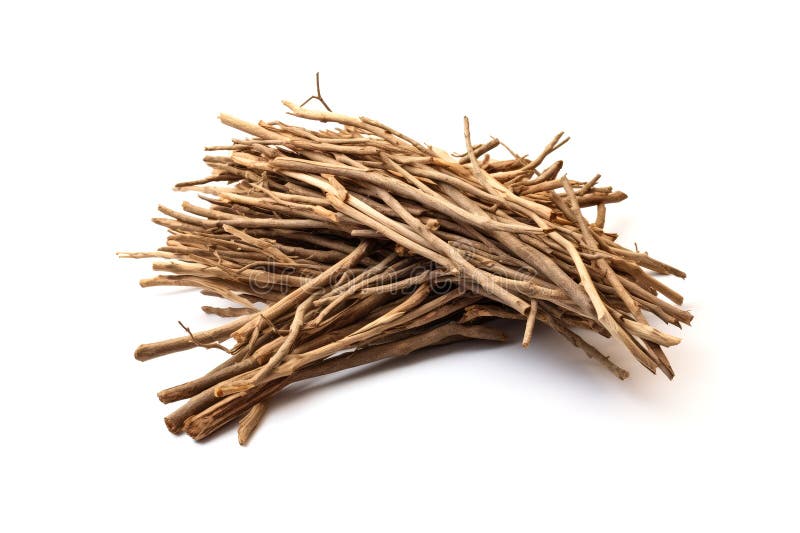 Branches Pile Isolated. Dry Twigs Pile Ready for Campfire, Sticks ... Branches Pile Isolated. Dry Twigs Pile Ready for Campfire, Sticks ...