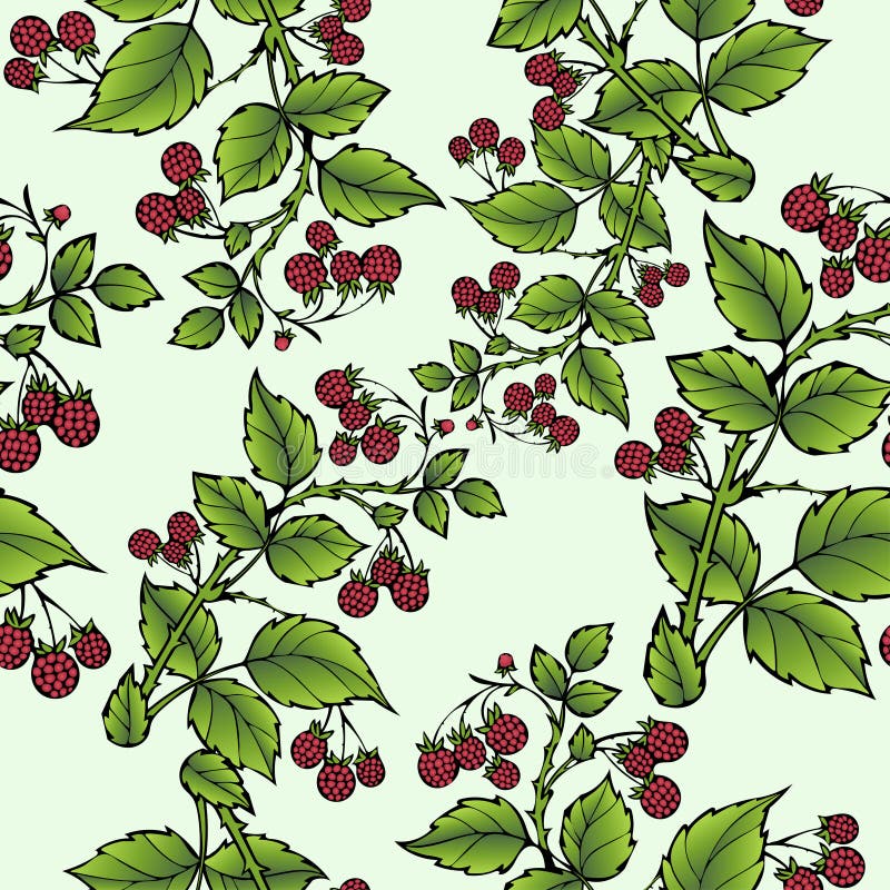 Branches Of Raspberry Seamless Pattern, Berry Background. Drawing Fruit ...