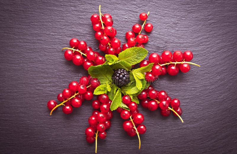 Branches of Red Currant and Mint Leaves in the Middle Lie in a Circle ...