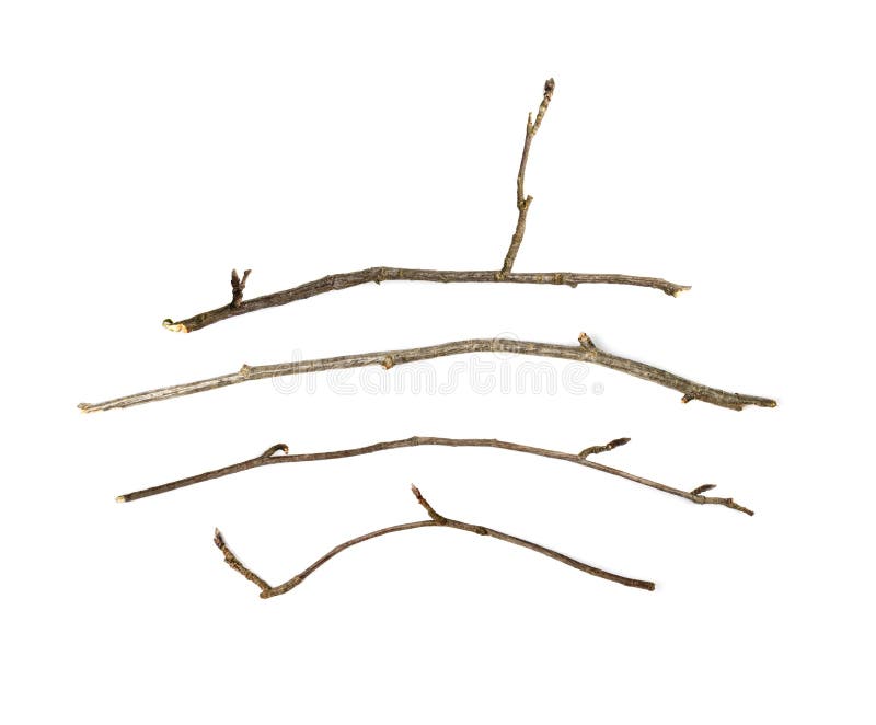 Branches Set Isolated stock photo. Image of rustic, dried - 248190932