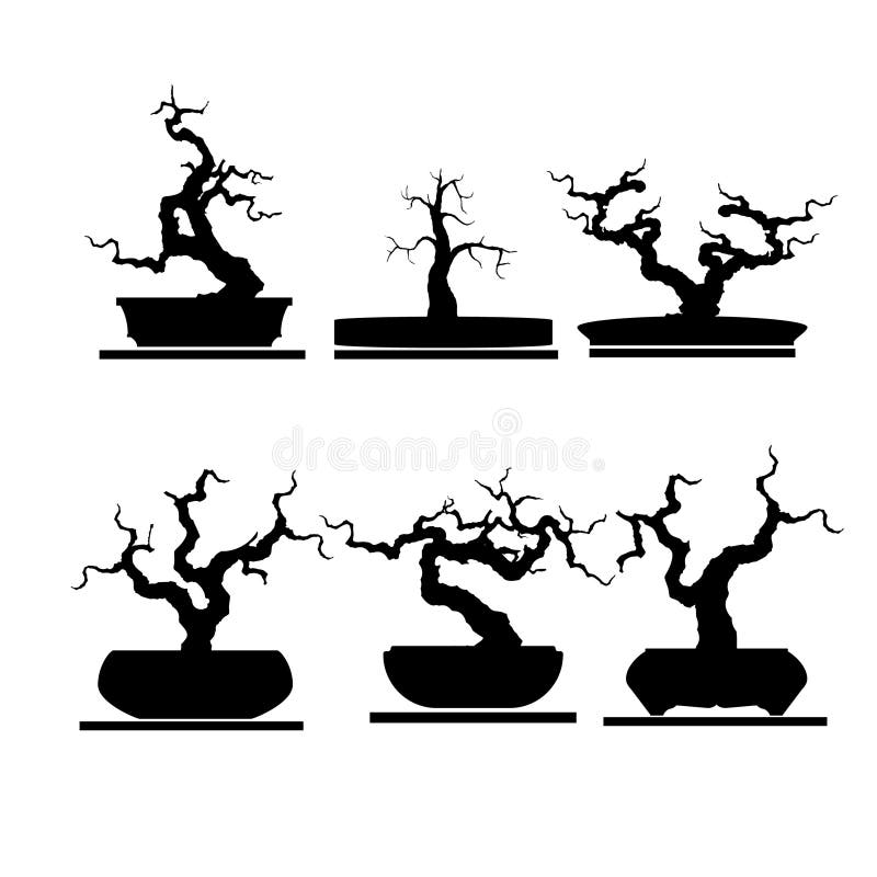 Branches and Shadows of Bonsai Tree. Stock Vector - Illustration of ...