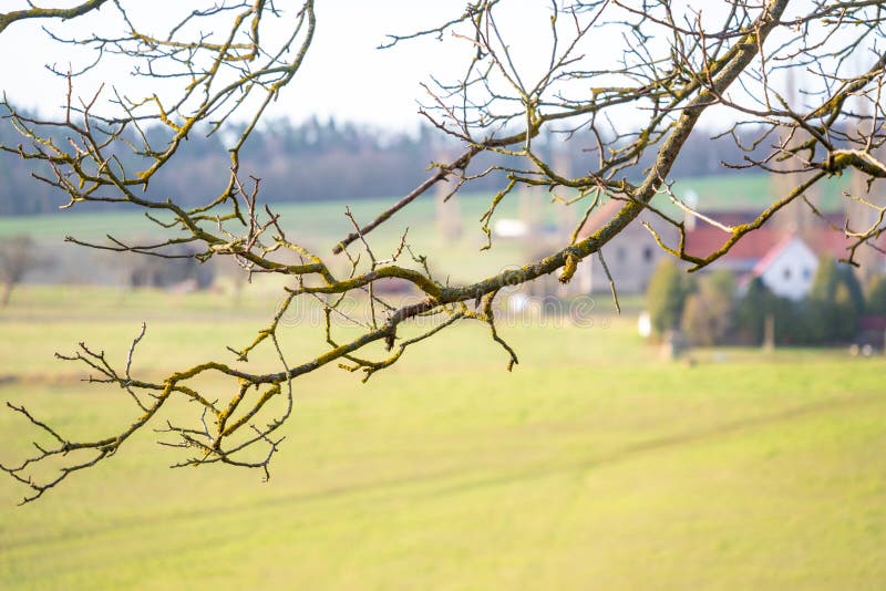 The Branches of a Spring Tree and the Village on the Horizon Stock ...