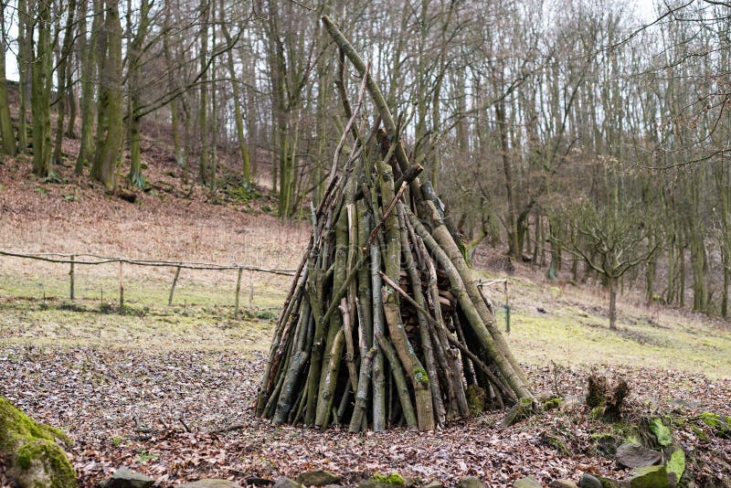 Branches Stack, Wood Lumber Pile Outdoor Stock Photo - Image of white ...