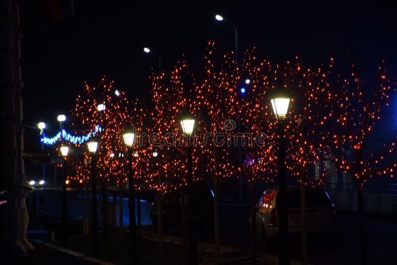 The Branches of Street Trees, Adorned with Red Lights Stock Photo ...