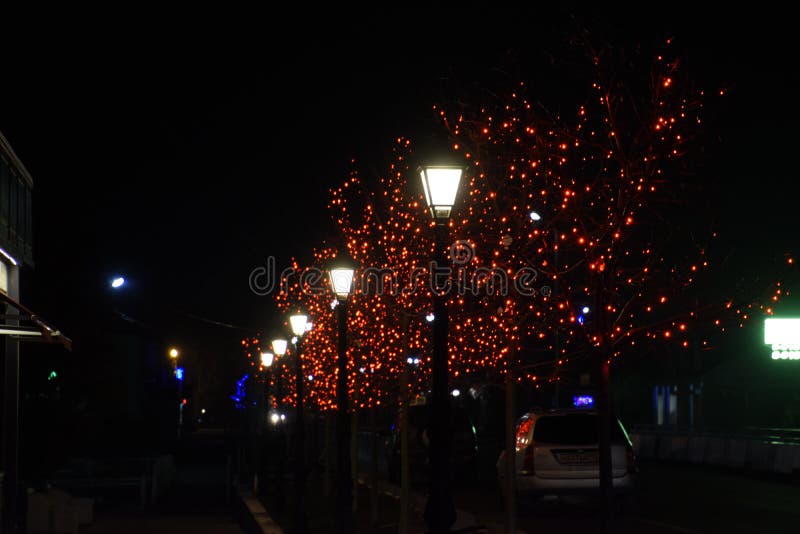 The Branches of Street Trees, Adorned with Red Lights Stock Image ...