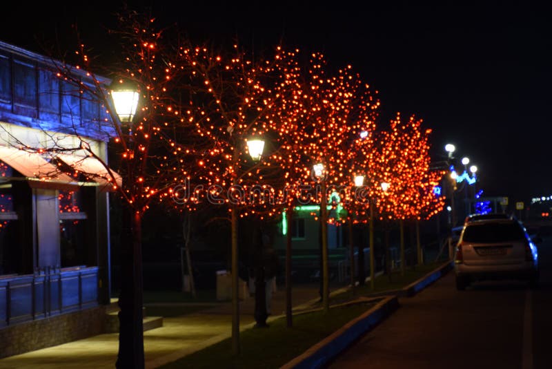 The Branches of Street Trees, Adorned with Red Lights Stock Image ...