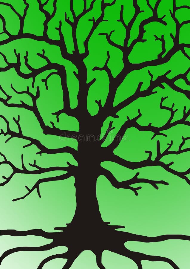 Branches Of Tree Picture. Image: 3340786