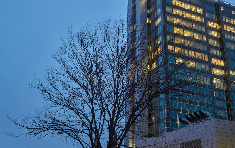 Branches of a Tree Against the Facade of a Modern Office Building Stock ...