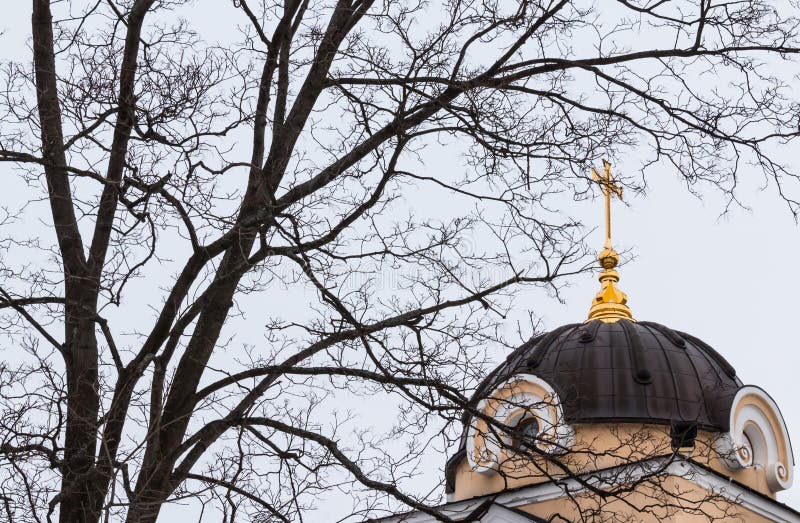 Branches of Tree and Dome of Church Stock Photo - Image of dull ...