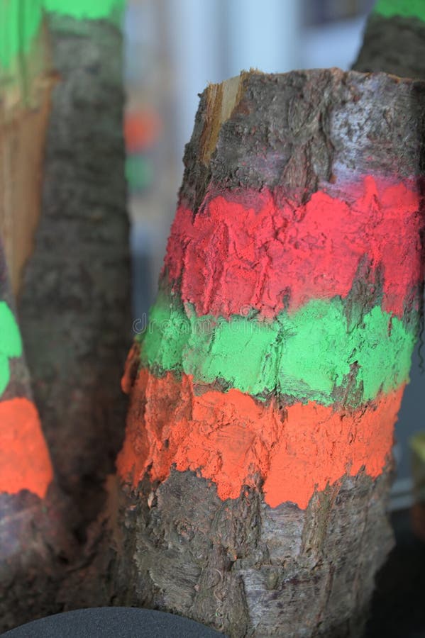 The Branches of the Tree are Painted with Bright Colors Stock Photo ...