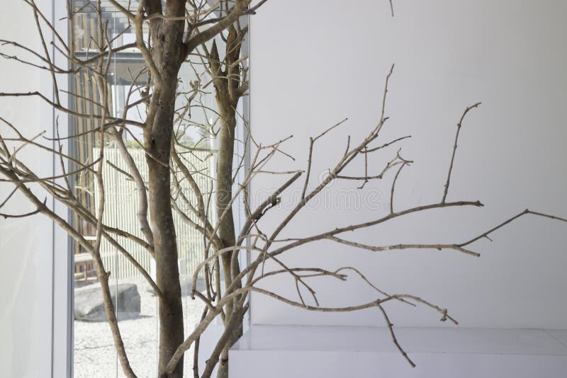 Branches of Trees Decorated in Cafe Stock Photo - Image of cosy, bright ...