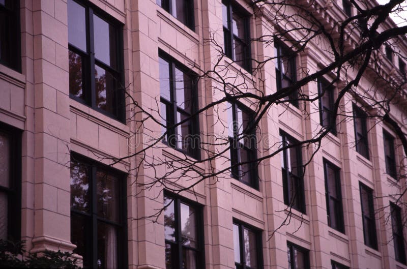 Branches and windows stock photo. Image of reflections - 1772624