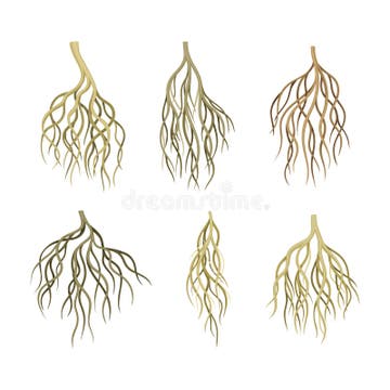 Branching Root Stock Illustrations – 730 Branching Root Stock ...