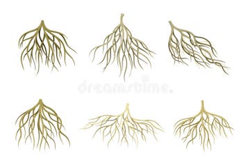 Branching Root Stock Illustrations – 730 Branching Root Stock ...