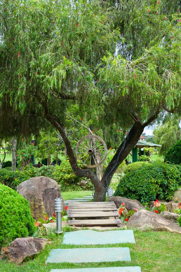 Branchy Tree with Wagon Wheel Stock Image - Image of wagon, walk: 45873877