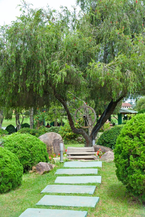 Branchy Tree with Wagon Wheel in Park Stock Image - Image of hang ...