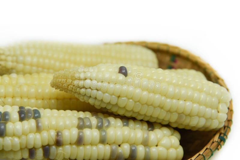 Milho branco imagem de stock. Imagem de energia, produto - 114517447