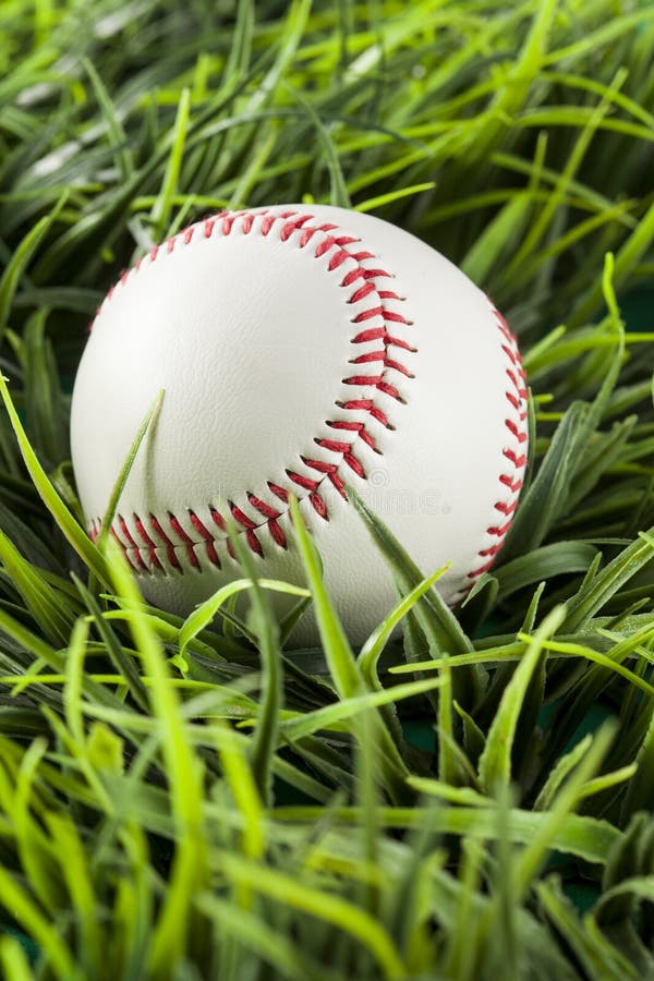 New White Baseball in Green Grass Stock Image - Image of seam, sphere ...