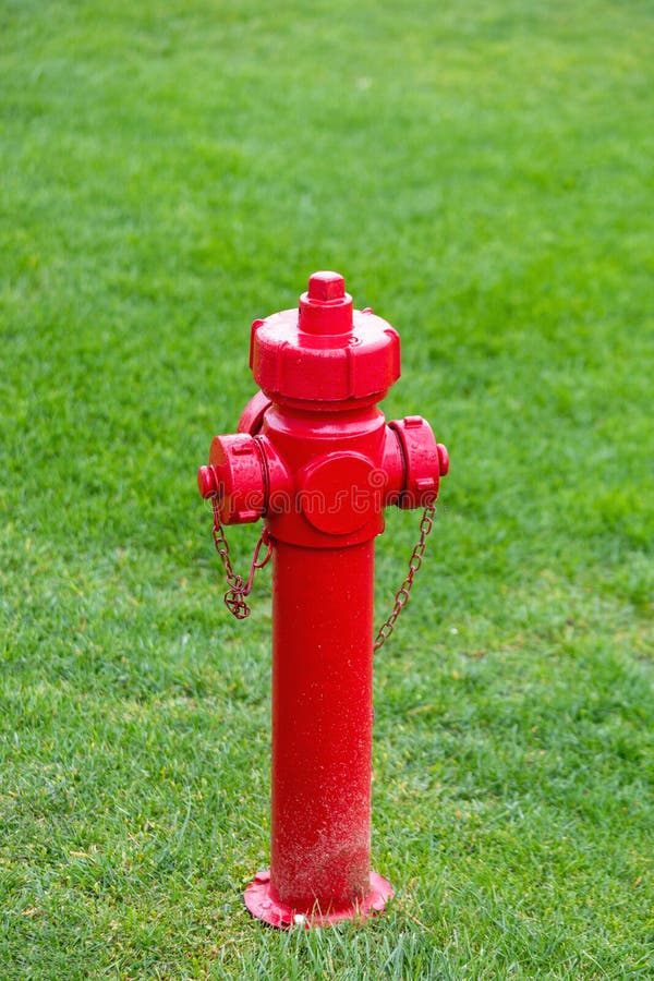 Fire Hydrant Gras arkivfoto. Bild av vattenkraft, europa - 162600122