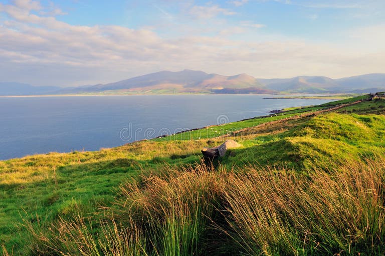 3,023 Brandon Tattoo Stock Photos - Free & Royalty-Free Stock Photos ...