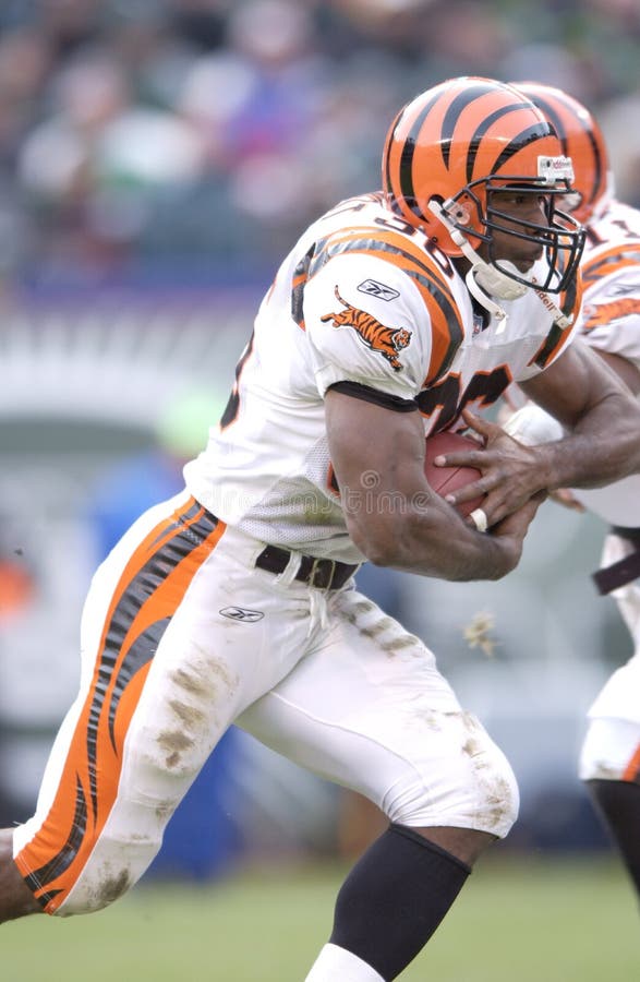 Brandon Bennett editorial photography. Image of bengals - 73685457