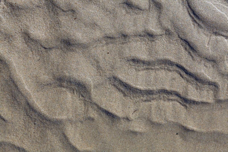 Natural Sand Texture of the Beach Stock Image - Image of ground ...