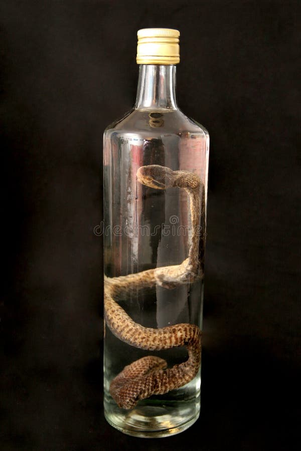 Bottle of viper liquor stock photo. Image of danger, viper - 1021736