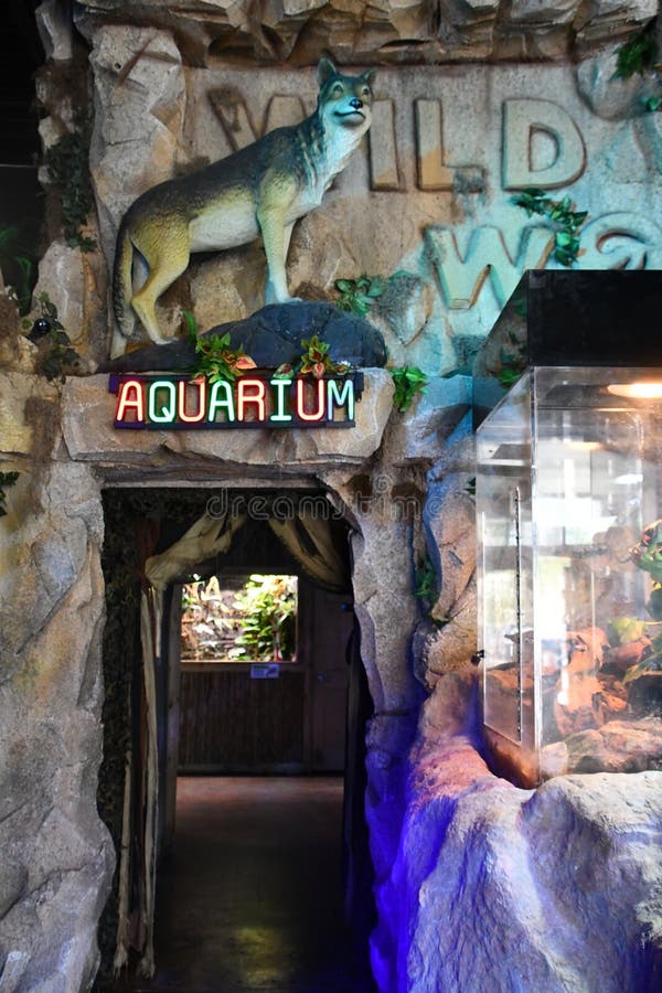 Branson S Wild World Attraction in Branson, Missouri Editorial Stock ...