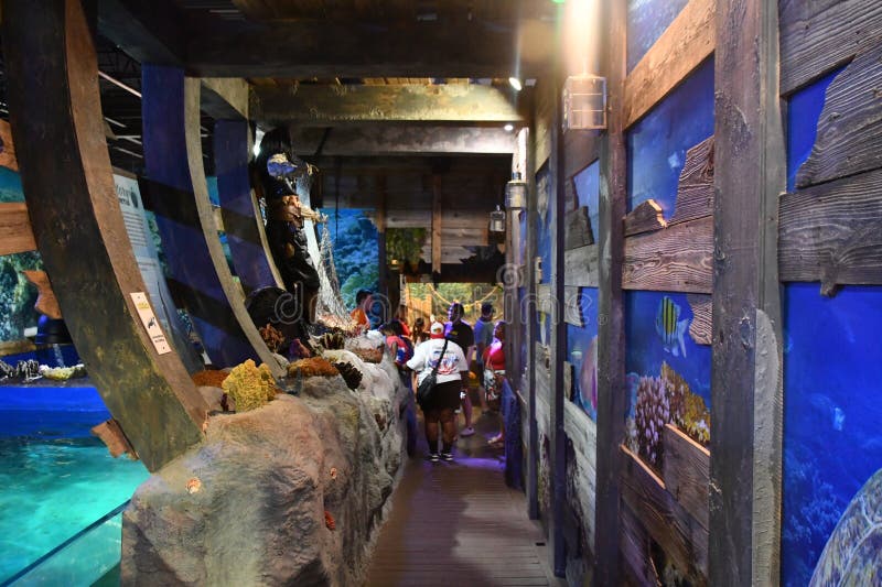 Wildlife World Zoo Aquarium Safari Stock Photos - Free & Royalty-Free ...