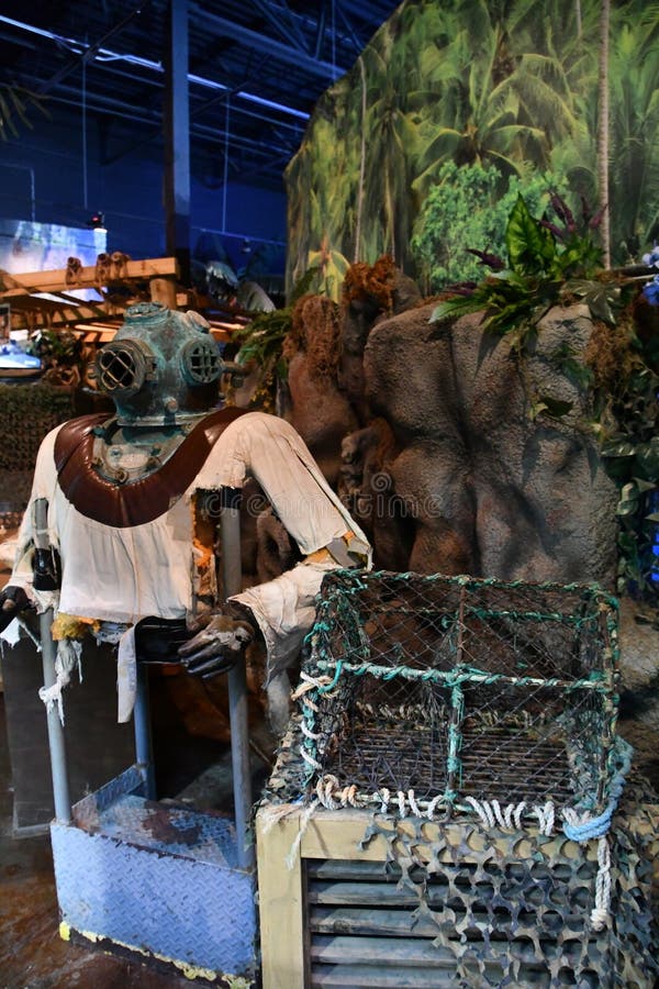 Wildlife World Zoo Aquarium Safari Stock Photos - Free & Royalty-Free ...