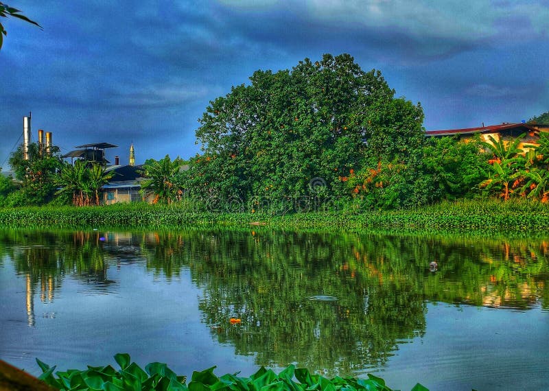 Brantas River stock photo. Image of grass, water, pond - 262816056