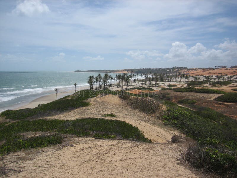 Brasil Desert and ocean stock photo. Image of brasile - 6376732