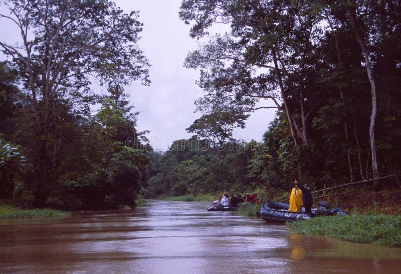 Brasil: Explorando a Natureza E Os Animais Selvagens Do Rio De Amazonas ...