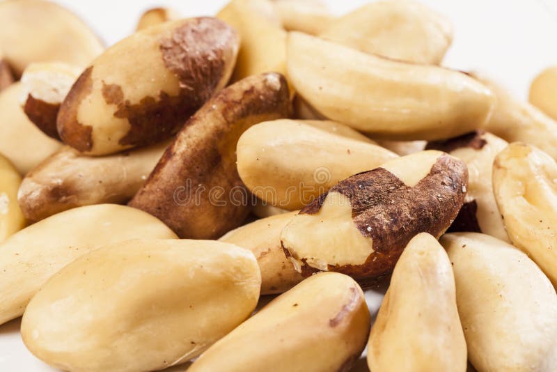 Brasilianische Nuss stockfoto. Bild von geschmackvoll - 30998806