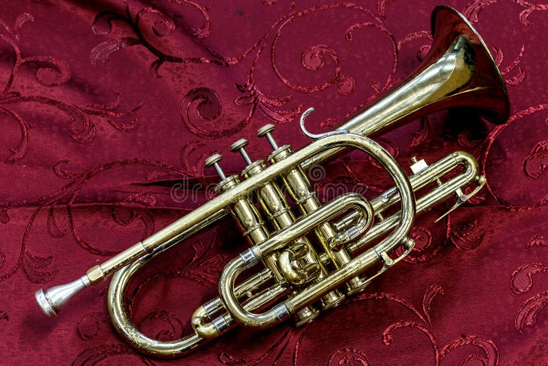 Brass stock image. Image of cornet, brass, bass, musician - 61426393