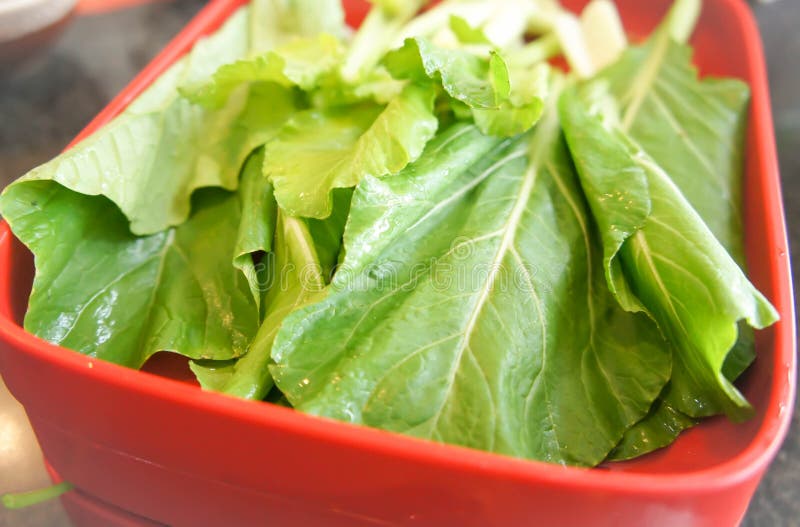 Brassica Campestris, Verde De Mostaza China Imagen de archivo - Imagen ...
