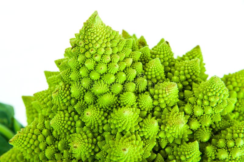 Brassica Oleracea / Romanesco Broccoli / Roman Cauliflower Stock Image ...