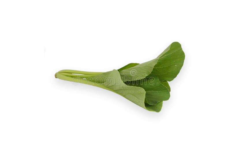 Pechay Plant Stock Photos - Free & Royalty-Free Stock Photos from ...