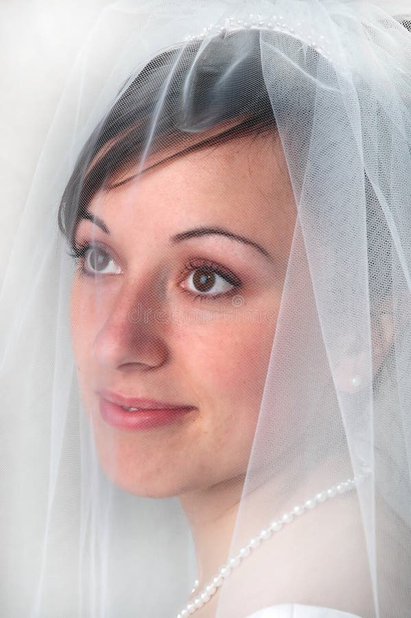 Braut-Portrait-Schleier stockbild. Bild von träumen, verbindung - 1273717