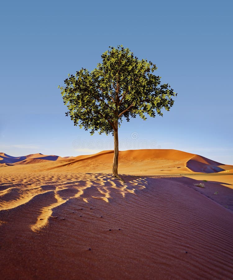 Brave Tree Standing Alone in the Desert Stock Image - Image of solitude ...