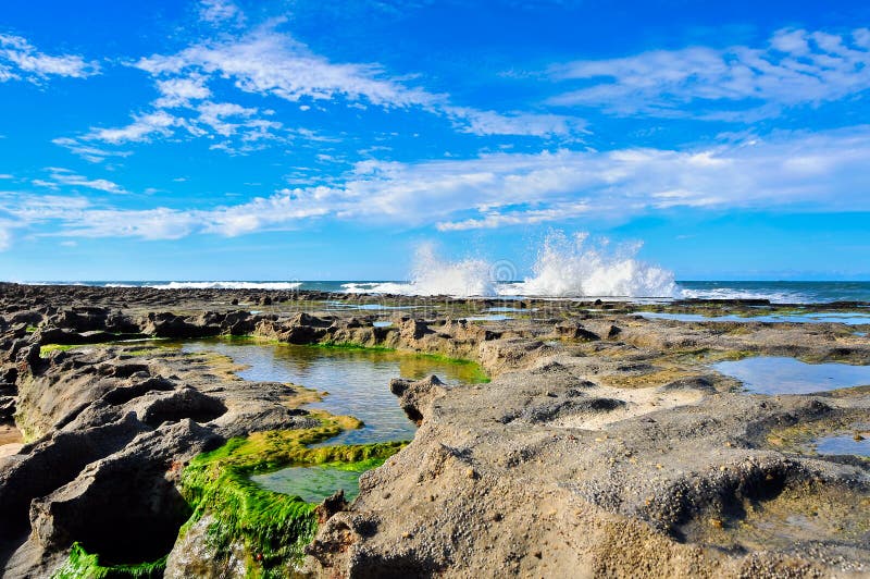 Brazil Coastline stock photo. Image of beach, algea, elements - 20866828